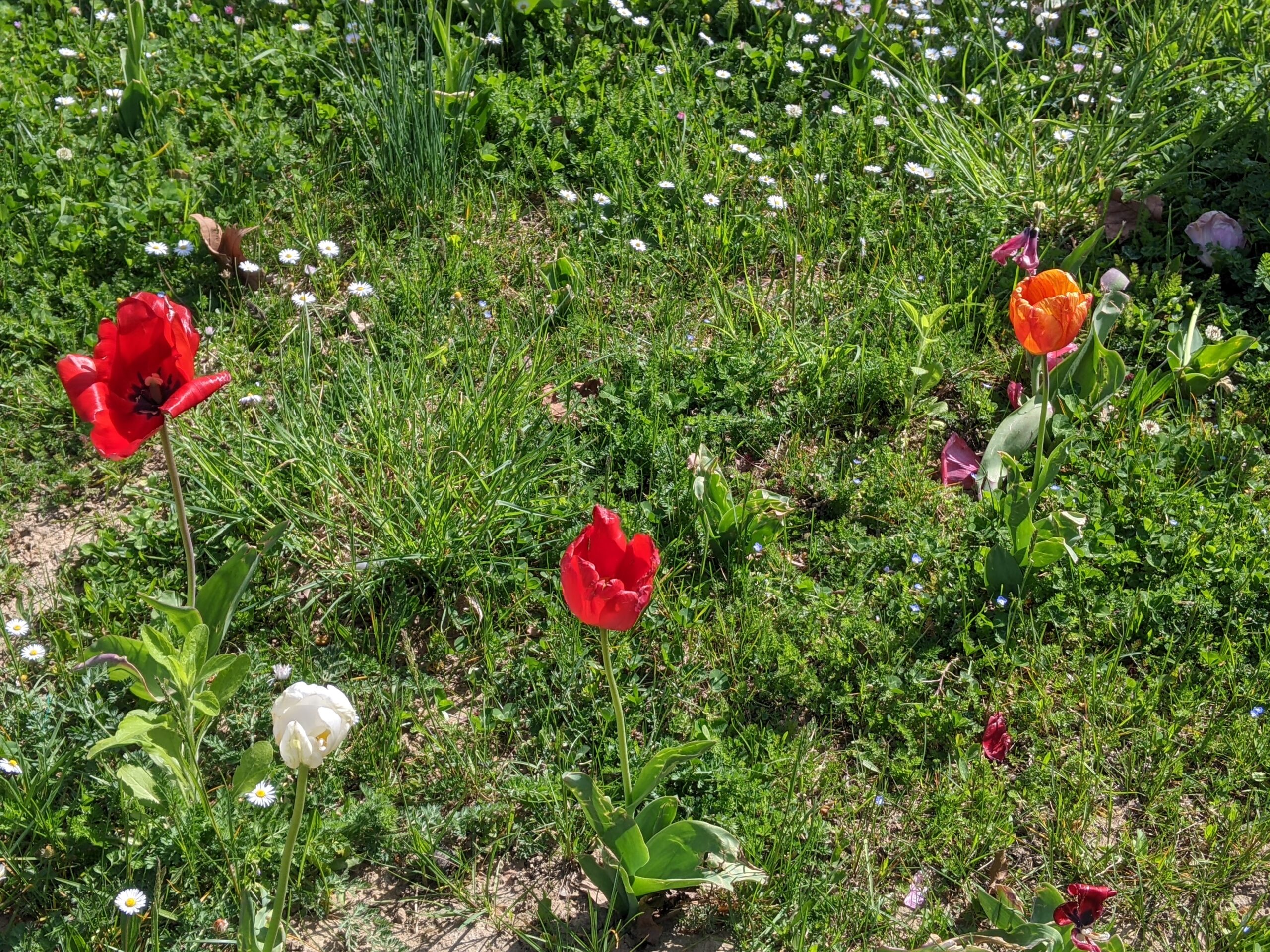 L’entrée fait peau neuve! – Site Internet du Collège COLETTE